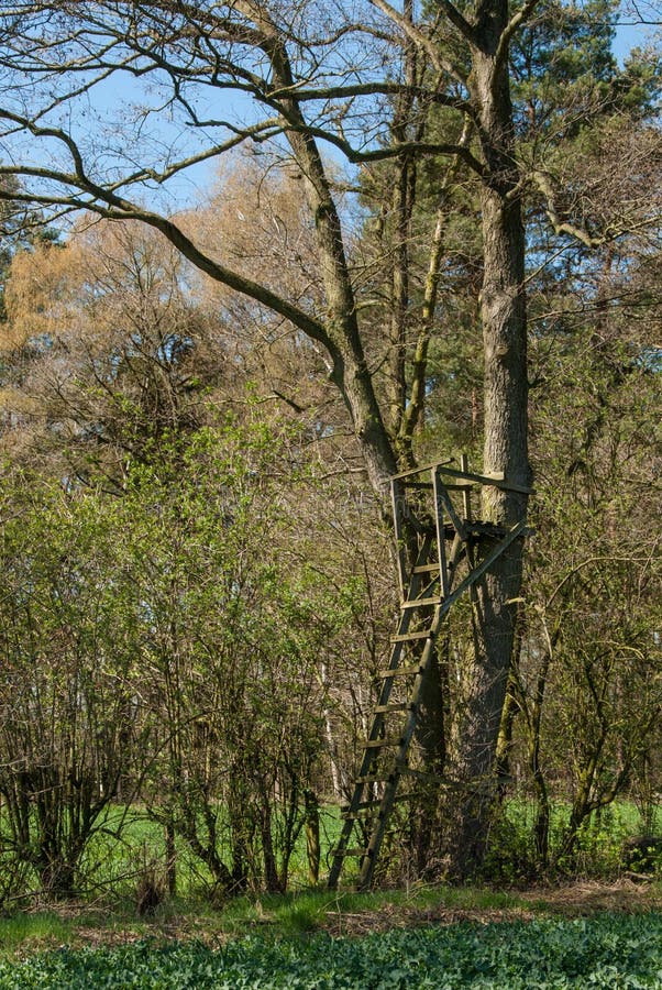 Ladder Stand on the Edge of the Forest Stock Image - Image of ladder ...
