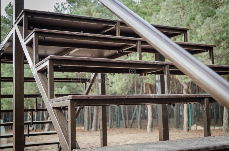Ladder for training dogs. stock photo. Image of enforcement - 165291140