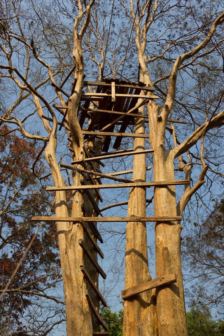 675 Hight Old House Stock Photos - Free & Royalty-Free Stock Photos ...