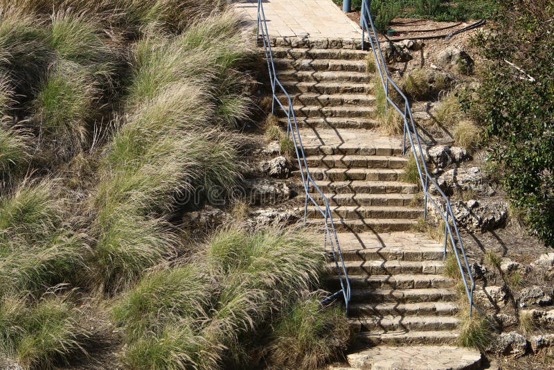 Ladder up and down stock image. Image of railings, park - 141146837