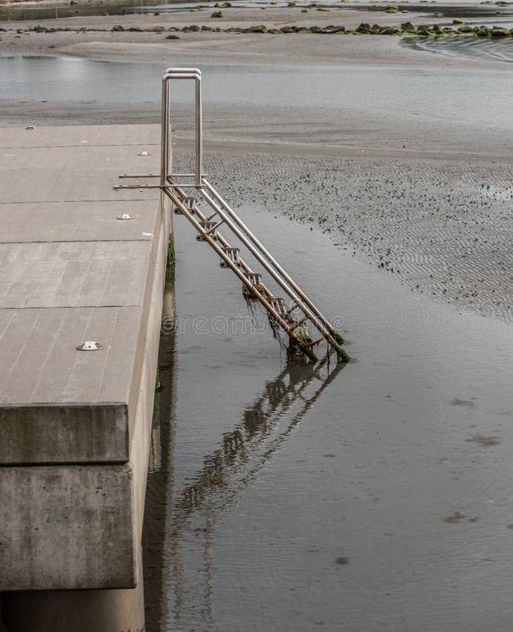 Ladder into the Water from a Pier.. Stock Image - Image of sport ...