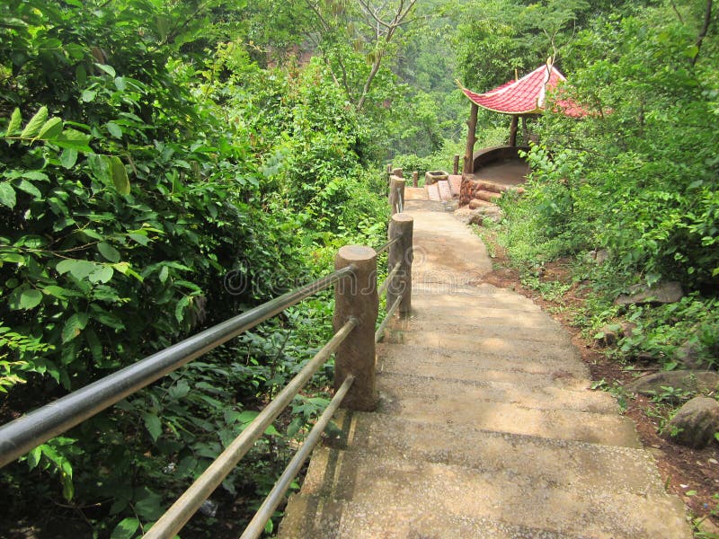 Ladders in Nature stock image. Image of travel, ladderswithnature ...