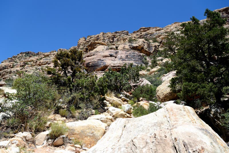 Ladera En El Barranco Rojo De La Roca, Nevada Foto de archivo - Imagen ...