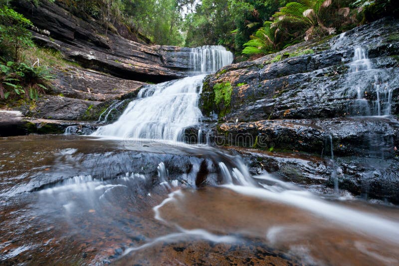 Lady Barron Falls, Mt Field National Park Stock Photo - Image of green ...