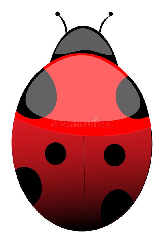 Ladybug Top View Isolated Stock Illustrations – 229 Ladybug Top View ...