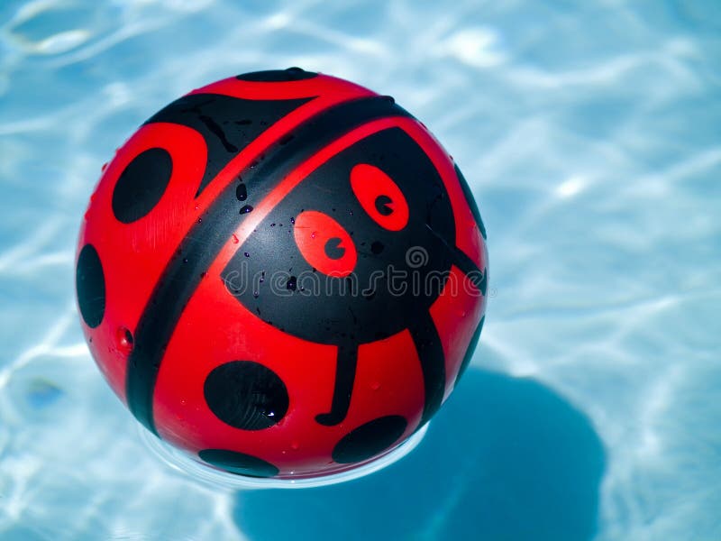 Lady Bug Ball in a Blue Swimming Pool Stock Image - Image of colorful ...