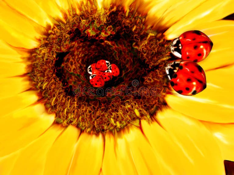 Sun Bug Stock Illustrations – 4,767 Sun Bug Stock Illustrations ...