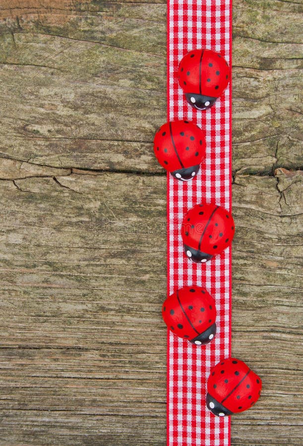 Lady bugs stock photo. Image of bugs, wooden, textures - 28738930