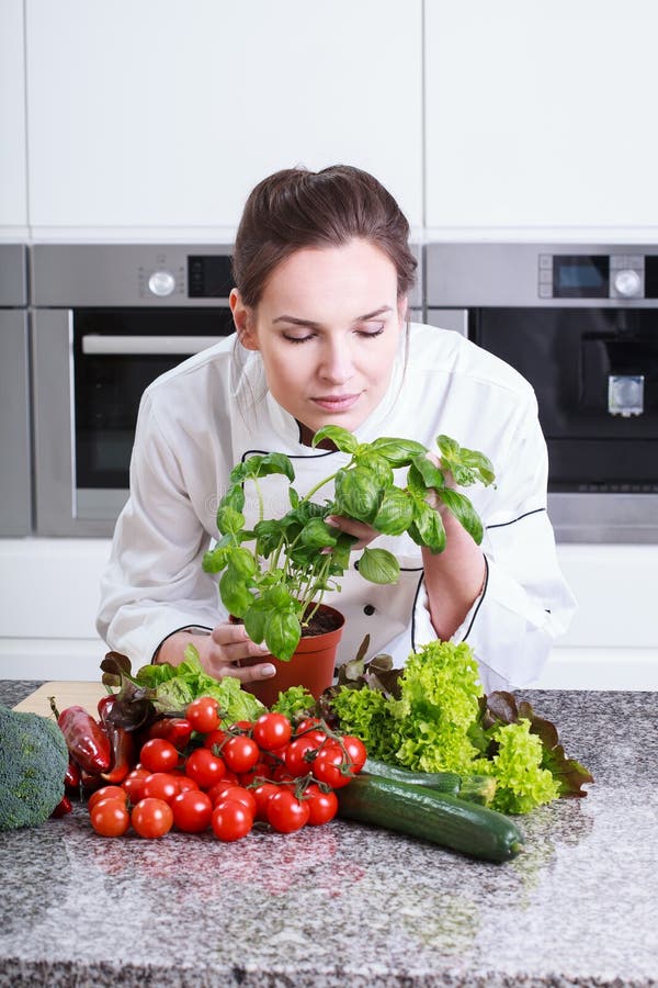 Lady, the Chef of Finance Company Stock Image - Image of office ...