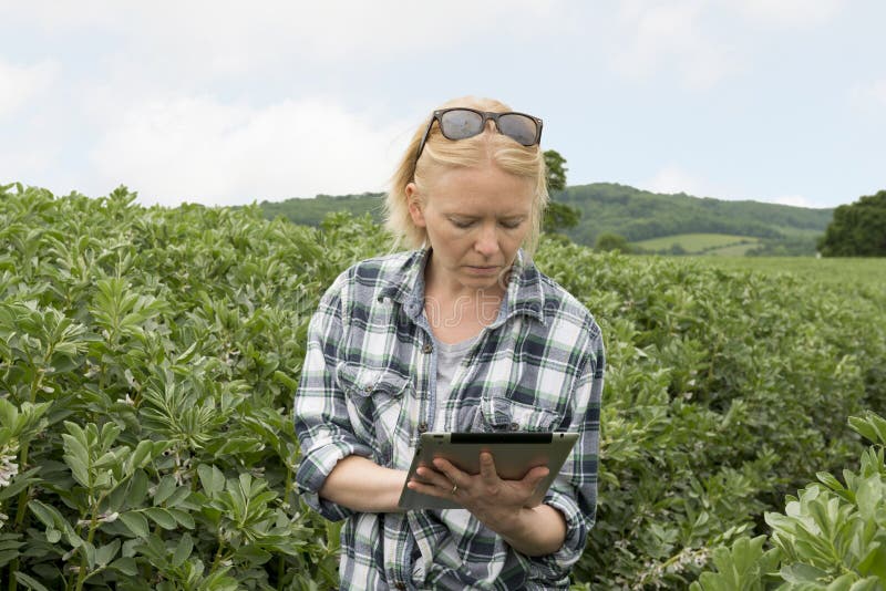 Lady in Farm Stares Seriously on Her Mobile Device`s Screen Stock Photo ...