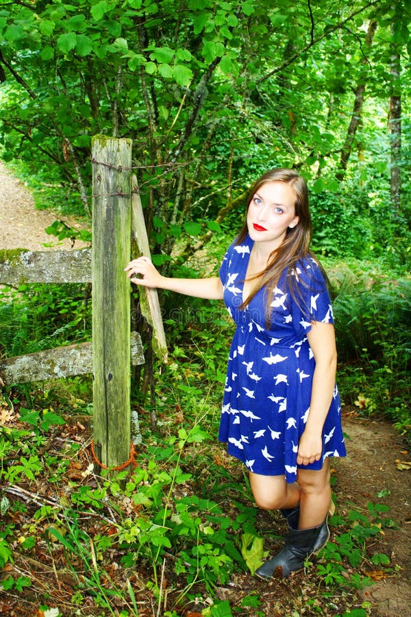 Lady on the fence stock image. Image of girl, gorgeous - 42802901