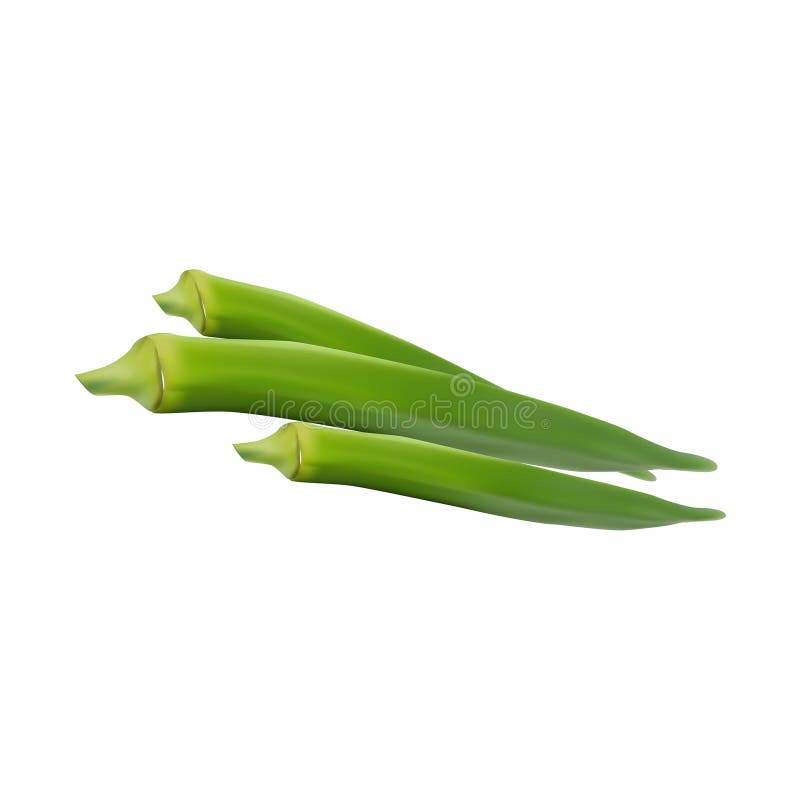 Lady Finger Illustration on White Background Vol 01 Stock Illustration ...