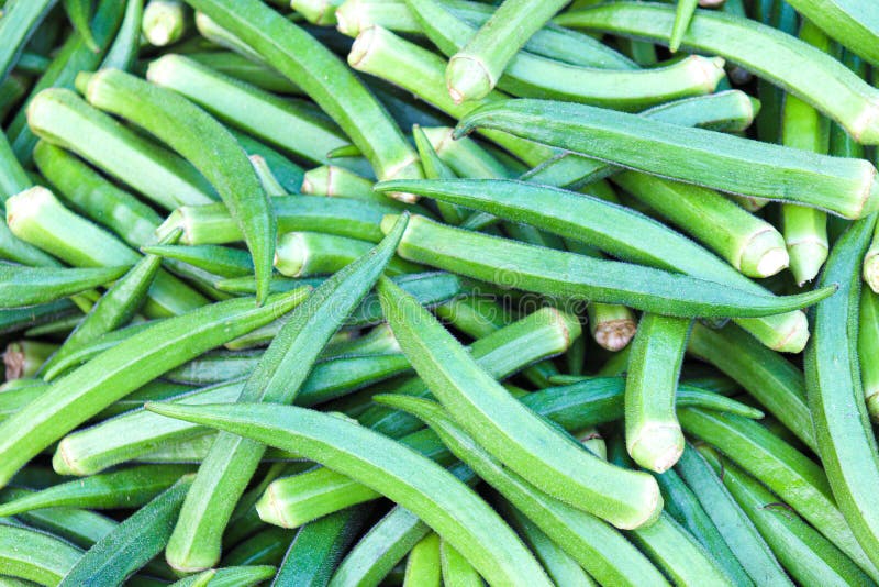 Lady finger stock on shop stock image. Image of beautiful - 248011501