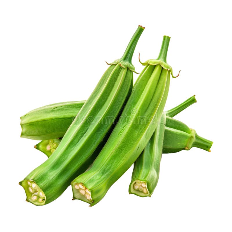 Lady Finger Vegetable Stock Illustrations – 575 Lady Finger Vegetable ...