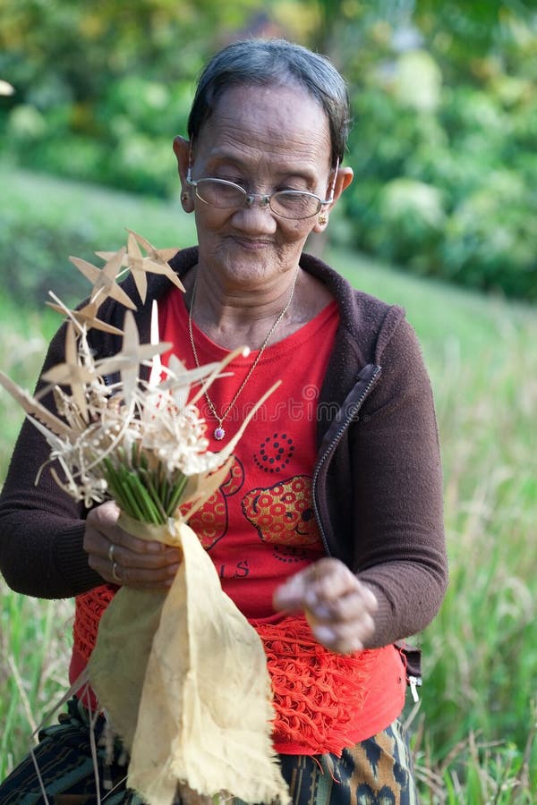 Lady Gathering Hay from Paddy Field Editorial Stock Photo - Image of ...