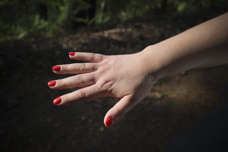 Lady hand with red. stock photo. Image of nair, hand - 92545508