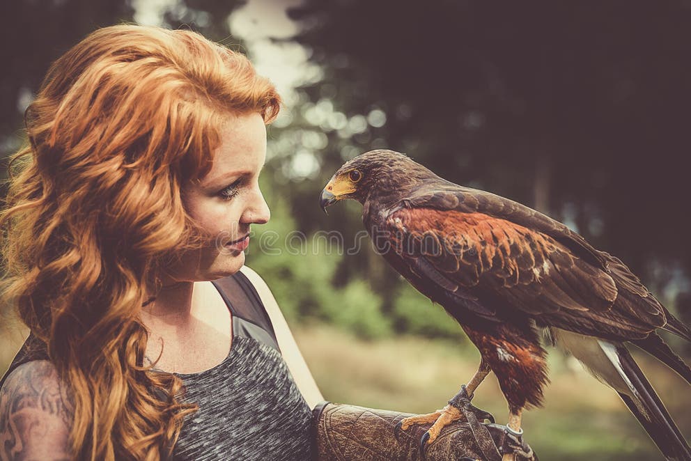 The Lady with the Harris Hawk Stock Photo - Image of raptor, sitting ...