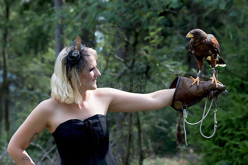 The Lady with the Harris Hawk Stock Image - Image of pretty, harris ...