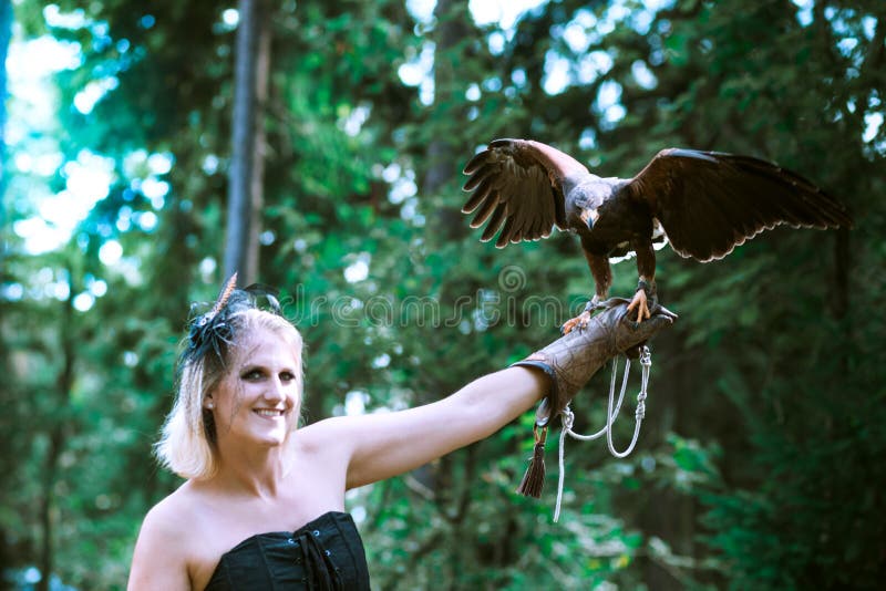 The Lady with the Harris Hawk Stock Photo - Image of lady, mensch: 61715616