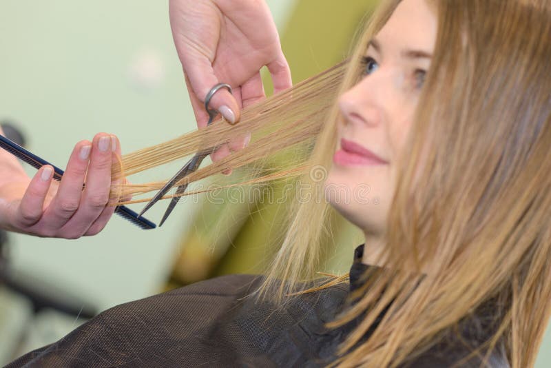 Lady having hair cut stock image. Image of hairstyler - 100427023