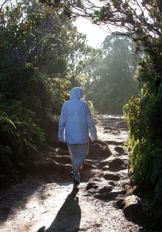 Lady hiker on path stock image. Image of kauai, foliage - 12797291