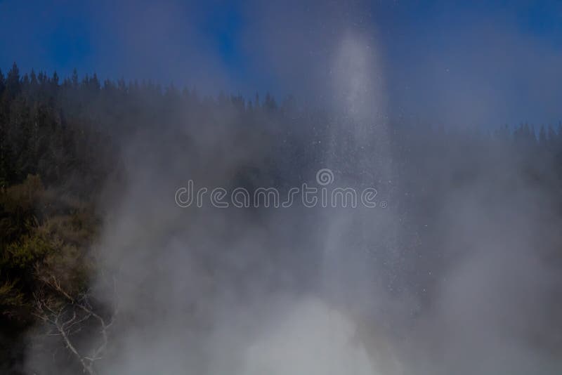 Lady Knox Geyser Getting Ready To Explode and Then Exploding Rotarua ...
