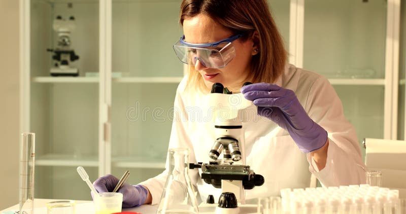 Lady Laboratory Scientist Examining Samples Under Microscope Stock ...
