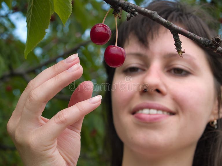 Lady picks cherry stock photo. Image of finger, adult - 5671674