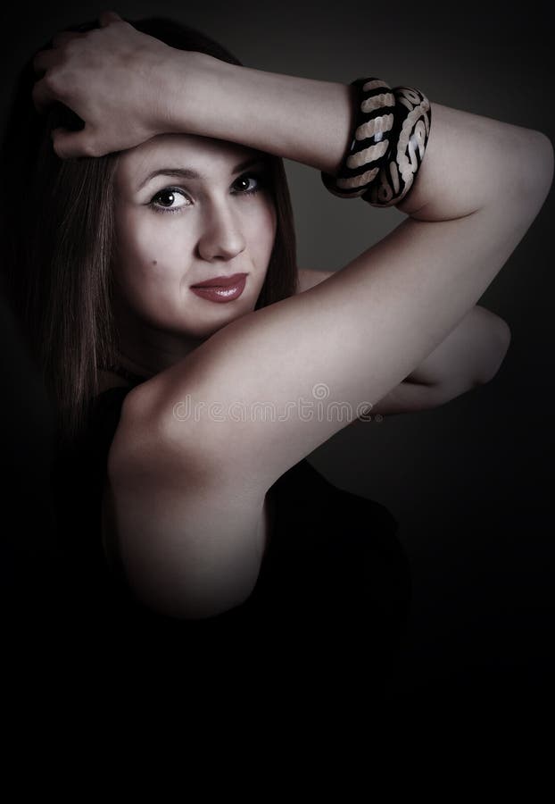 Lady Portrait in Dramatic Light Stock Image - Image of elegance, look ...