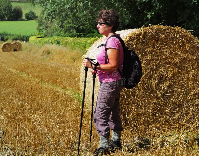 Lady Rambler Standing by a Bale of Hay Stock Image - Image of looking ...