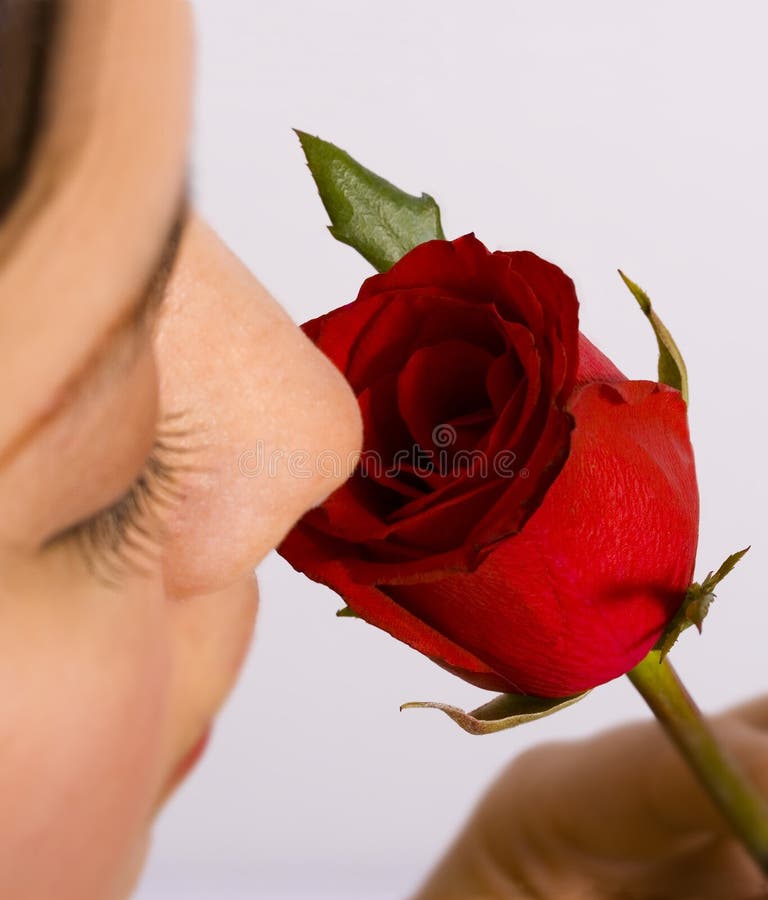 Lady and rose stock image. Image of wedding, valentines - 2911673