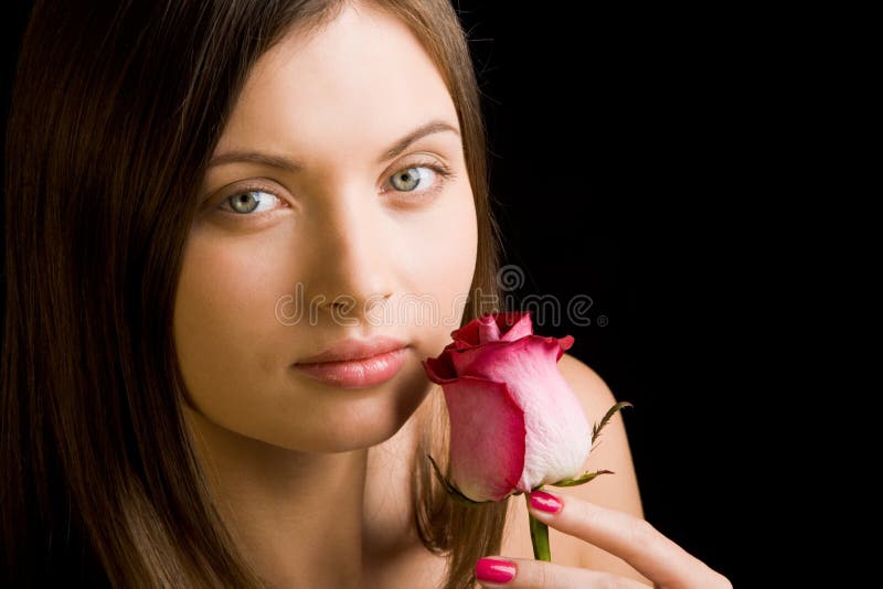 Lady with rose stock photo. Image of lady, adult, charm - 8811678