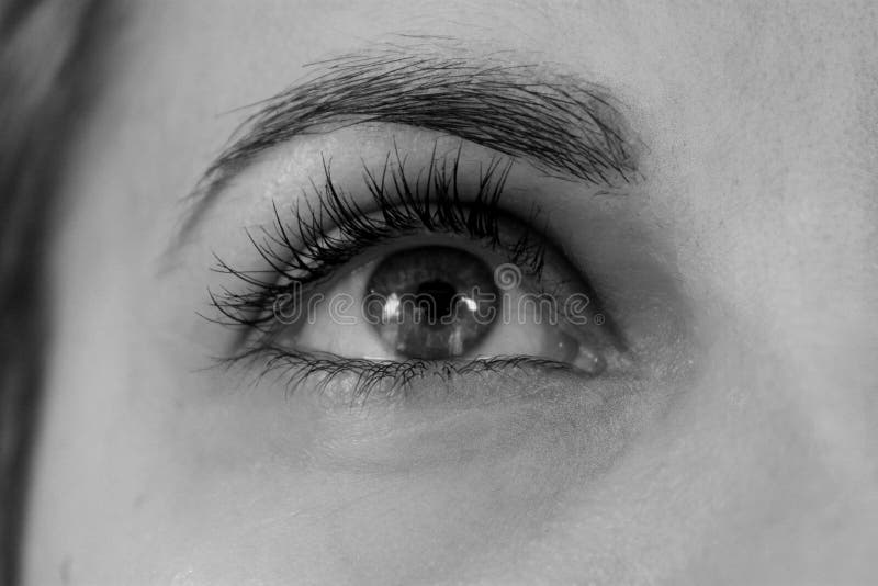 Lady s eye stock photo. Image of beauty, salon, eyelashes - 22740136