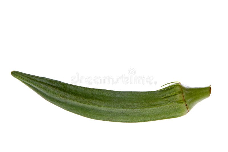 Lady s Finger Isolated stock photo. Image of bhindi, ingredients - 5823402
