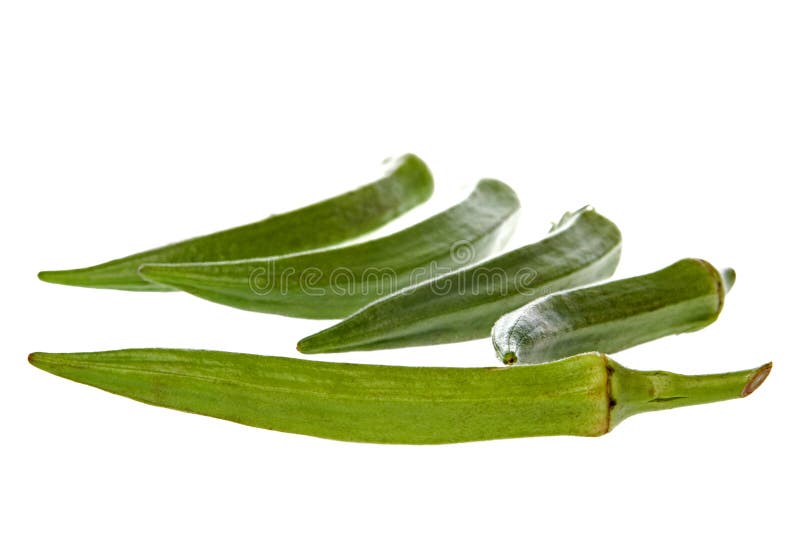 Lady s Fingers Isolated stock photo. Image of isolated - 5823464