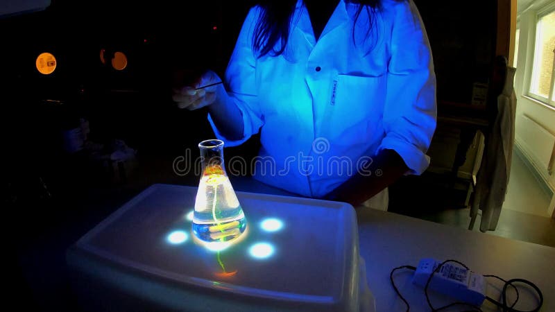 Lady Laboratory Scientist Examining Samples Under Microscope Stock ...