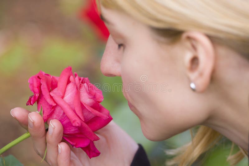 Lady Smelling a Rose Ih a Baroque Park Stock Image - Image of face ...