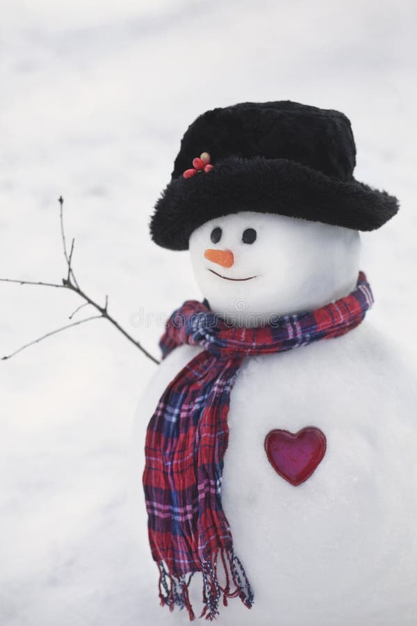 Lady snowman with heart stock image. Image of woman, wonderland - 57173325