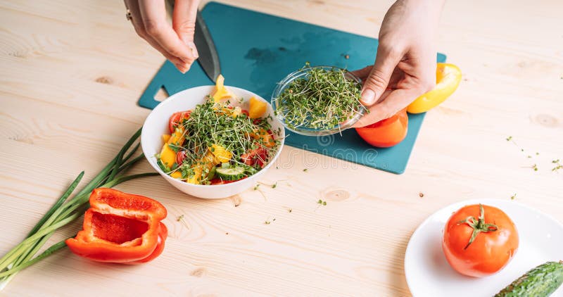 Lady Sprinkles Vegetable Salad with Microgreens Stock Image - Image of ...