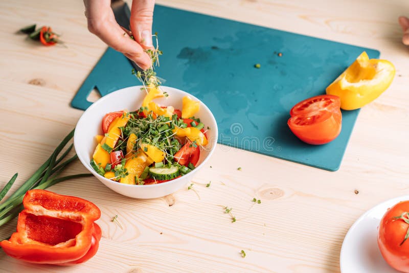 Lady Sprinkles Vegetable Salad with Microgreens Stock Image - Image of ...