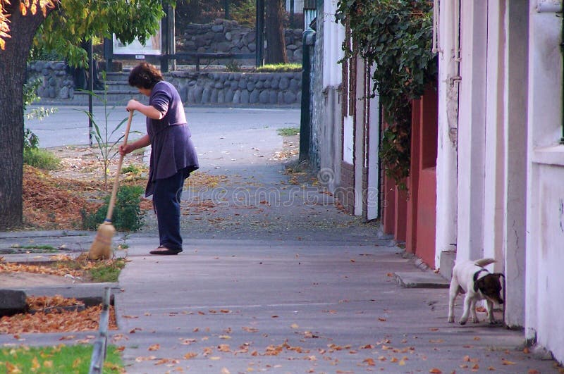 City Cleanup Banners stock vector. Illustration of cleaning - 19419043