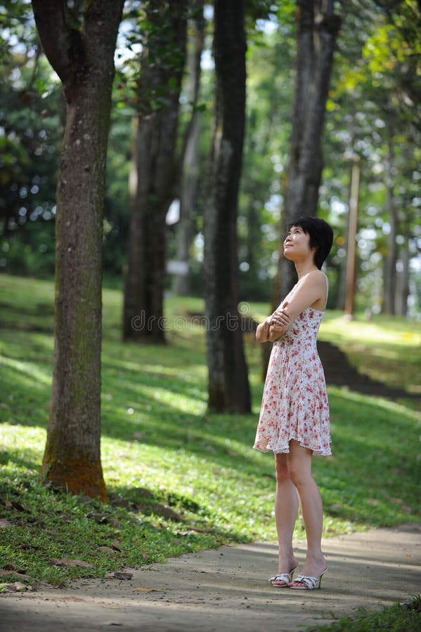 Lady and tree stock image. Image of relax, grass, track - 27581037