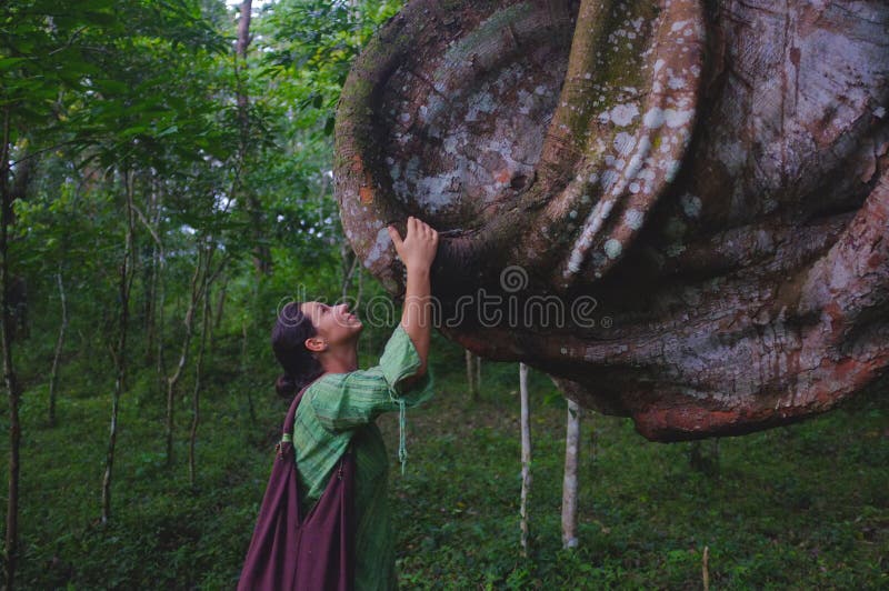 Lady and tree editorial photo. Image of admiring, lady - 45459526