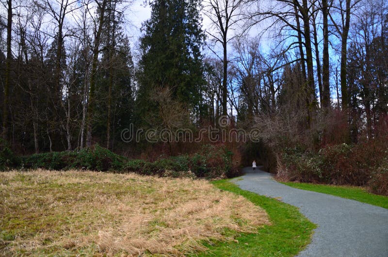 A lonely walk stock photo. Image of walkways, canada - 108563896