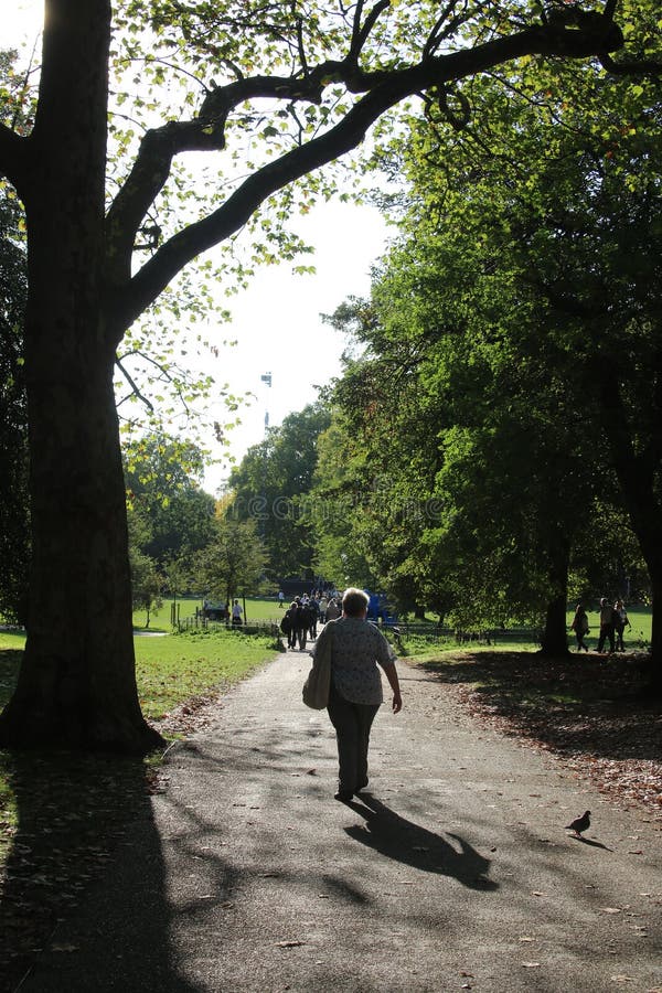 Lady Walking on Path in St James`s Park, London Editorial Stock Photo ...