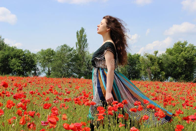 Poppy Lady stock photo. Image of savage, beauty, flora - 25030952