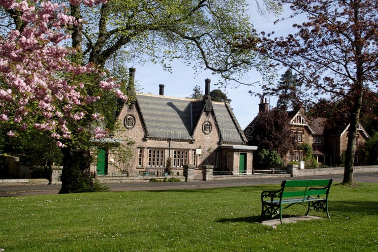 130 Ford Lady Stock Photos - Free & Royalty-Free Stock Photos from ...