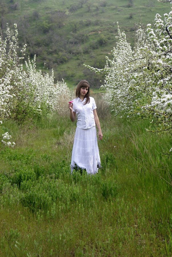 Lady in White between Blossoming Trees Stock Image - Image of trees ...