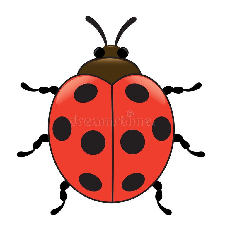 Ladybug Top View Isolated Stock Illustrations – 195 Ladybug Top View ...