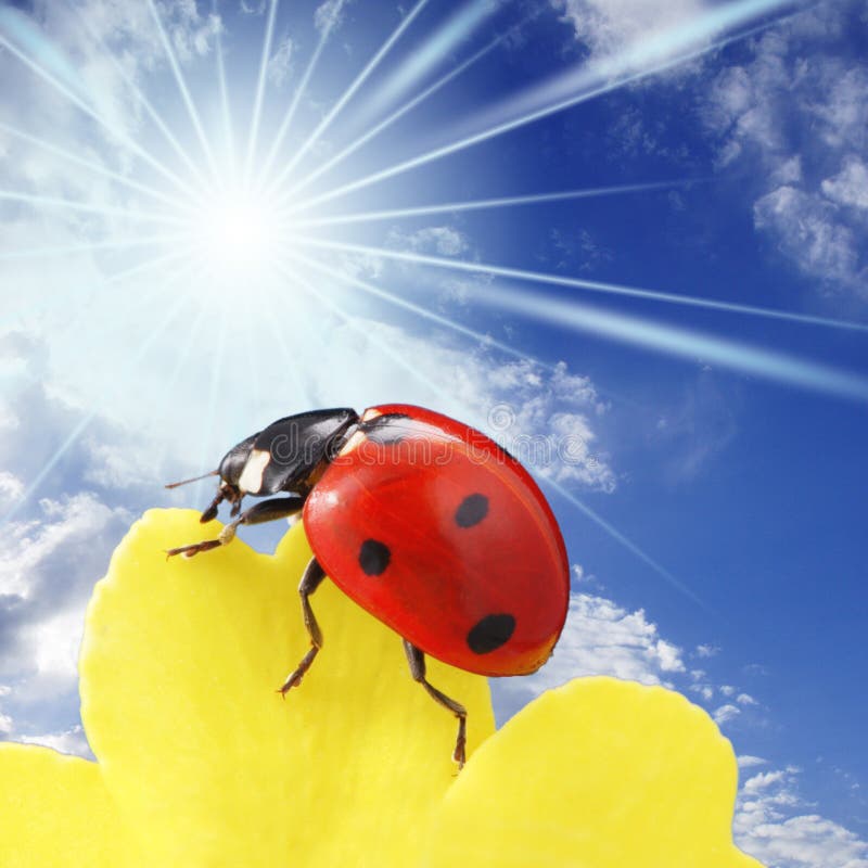 Ants Constructing Word Team with Letters, Teamwork Stock Image - Image ... Ants Constructing Word Team with Letters, Teamwork Stock Image - Image ...